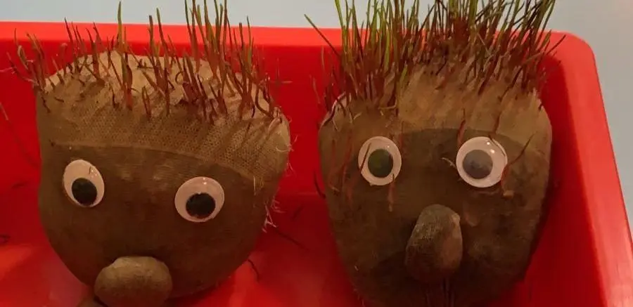Cómo hacer un muñeco de pasto para crear tu propia cabeza de césped ...
